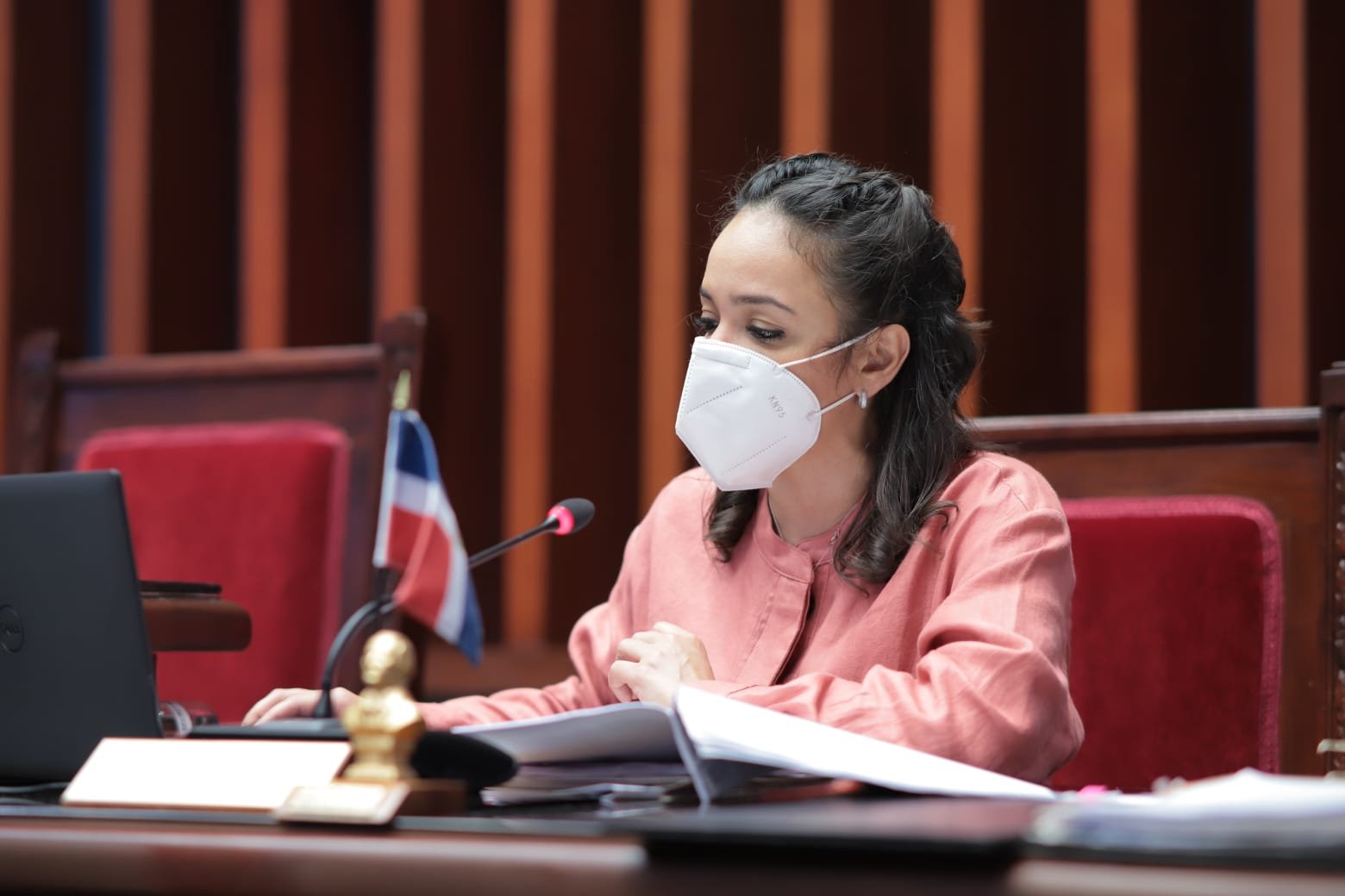 Faride Raful afirman criticaba prestamos cuando no correspondían