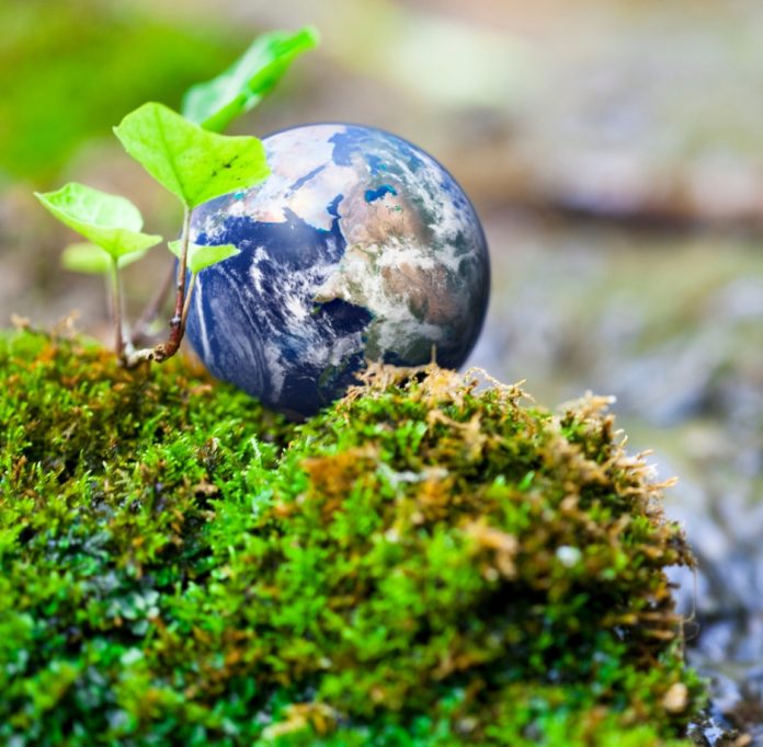 Hoy se conmemora el Día Mundial del Medio Ambiente