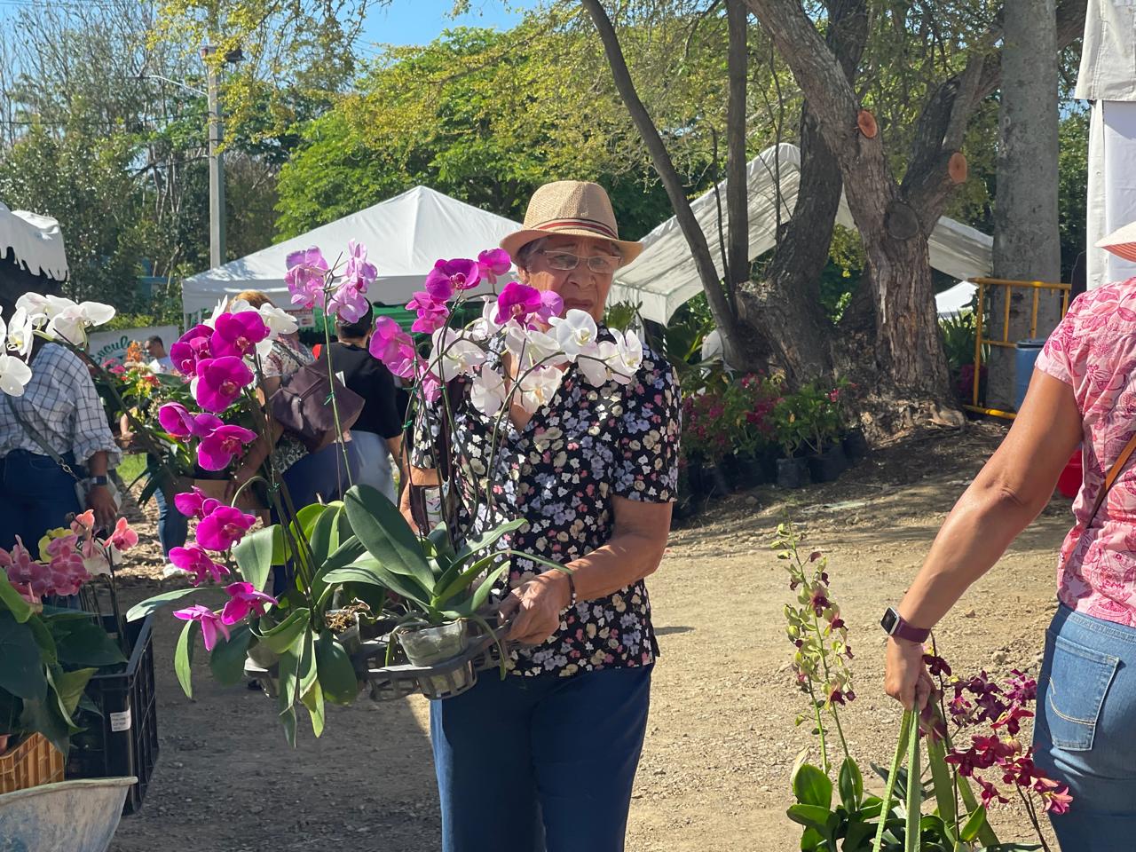 Realizan el Cuarto Festival de las Orquídeas en Santiago
