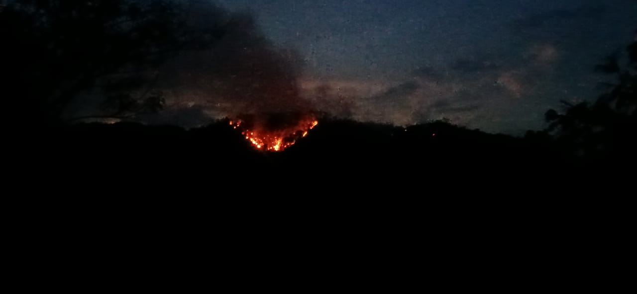 Fuego forestal en Jánico arrasa la sierra desde hace 6 días