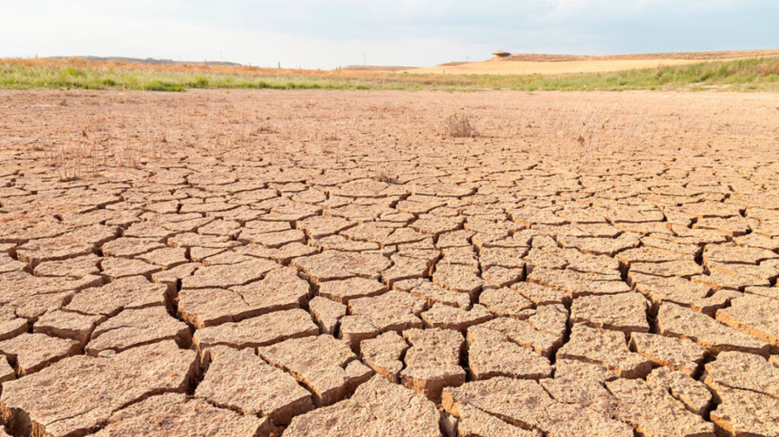 El Niño se consolida en Asia-Pacífico y enciende alertas por sequías y ...